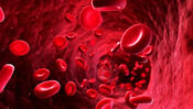 Blut verstehen | Open Science