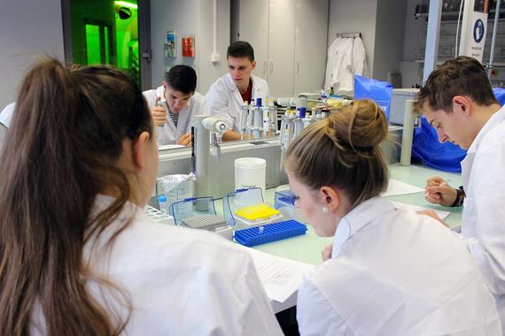 2017 a record-breaking year for the Vienna Open Lab | Vienna Open Lab