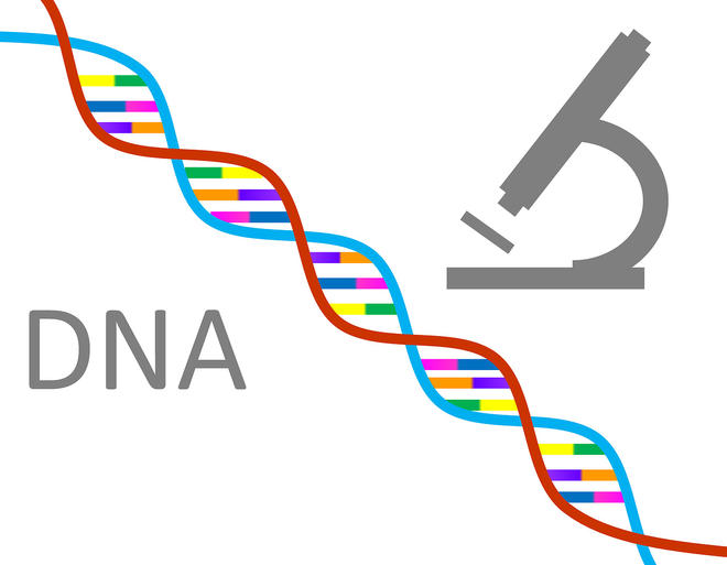 Was ist DNA? | Open Science